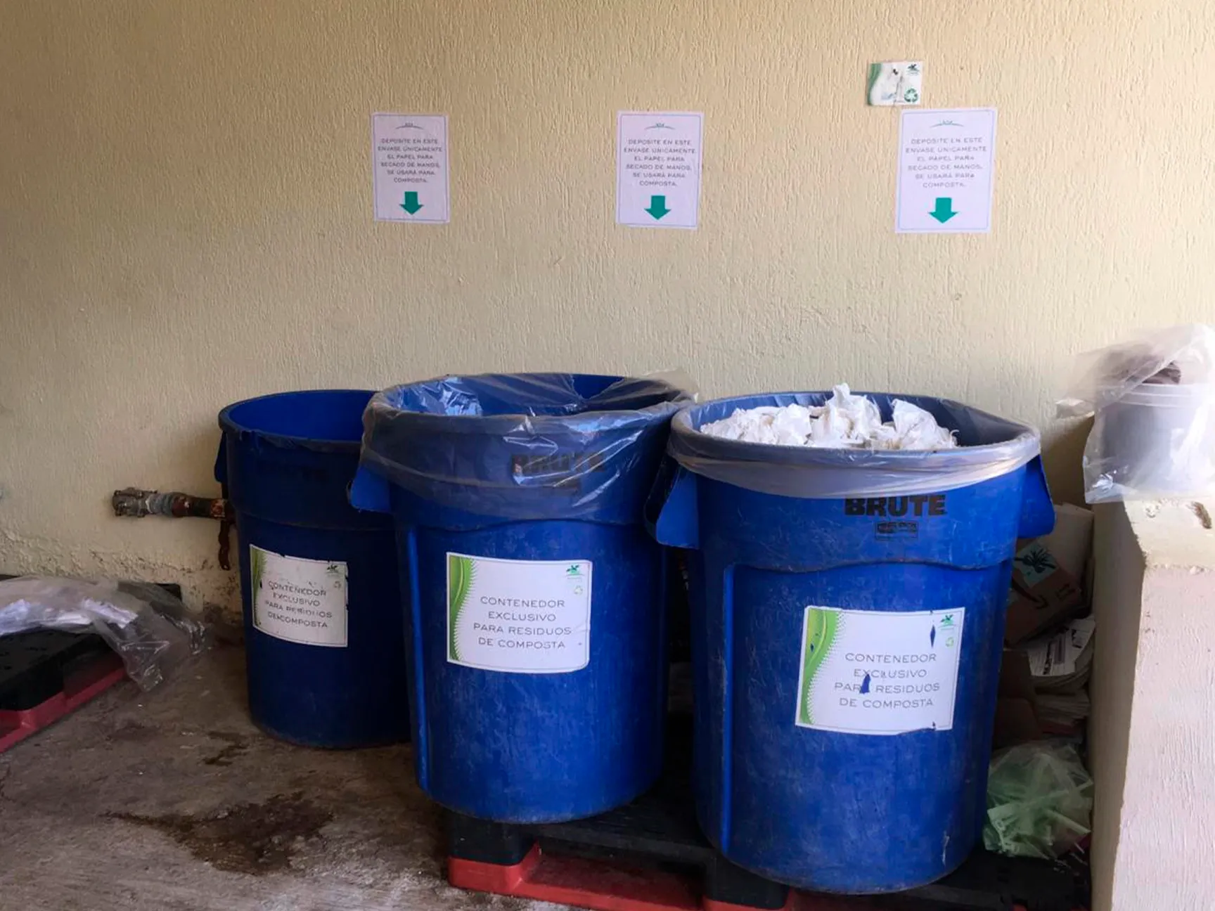 Zero-Waste Tourism Initiative Program | Earth Inclusive
